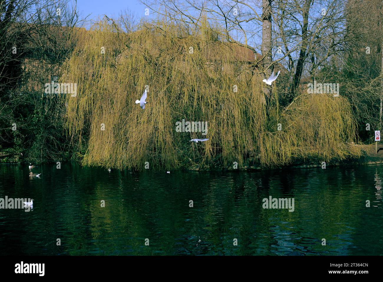 Barking, east London Stock Photo - Alamy