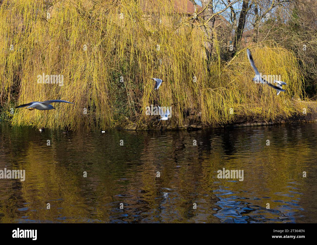 Barking, east London Stock Photo - Alamy