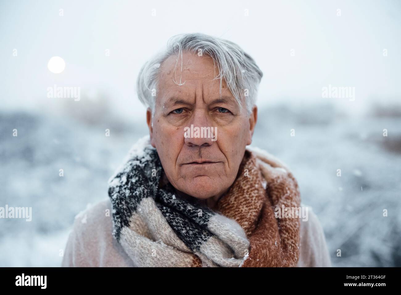 Gray hair in men hi-res stock photography and images - Alamy