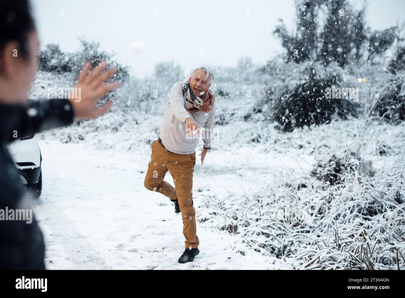 Snowball family hi-res stock photography and images - Alamy