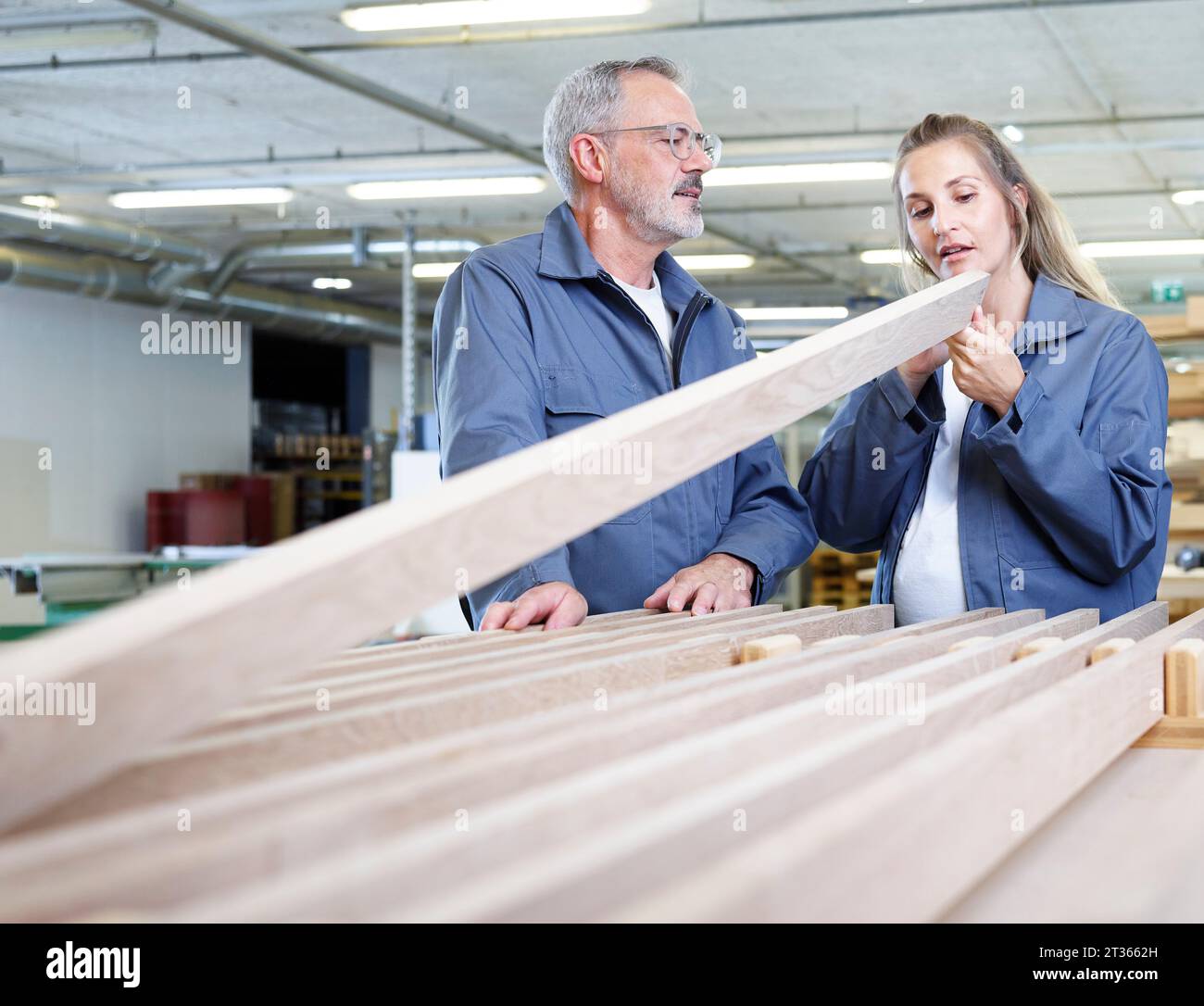 Female carpenter examining plank hi-res stock photography and images ...