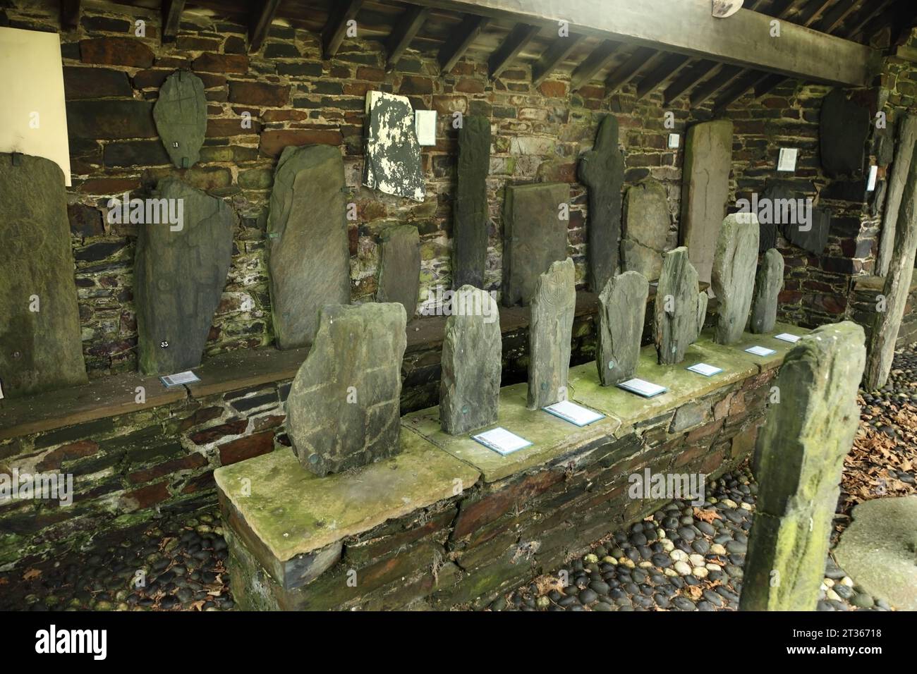 Manx crosses hi-res stock photography and images - Alamy