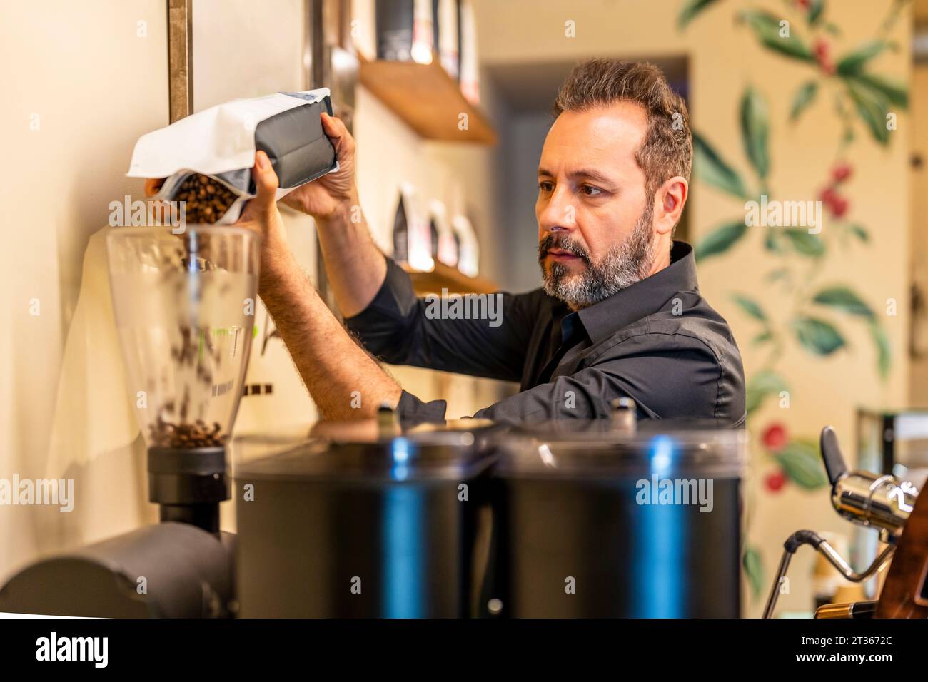Barista putting coffee beans into coffee machine Stock Photo - Alamy