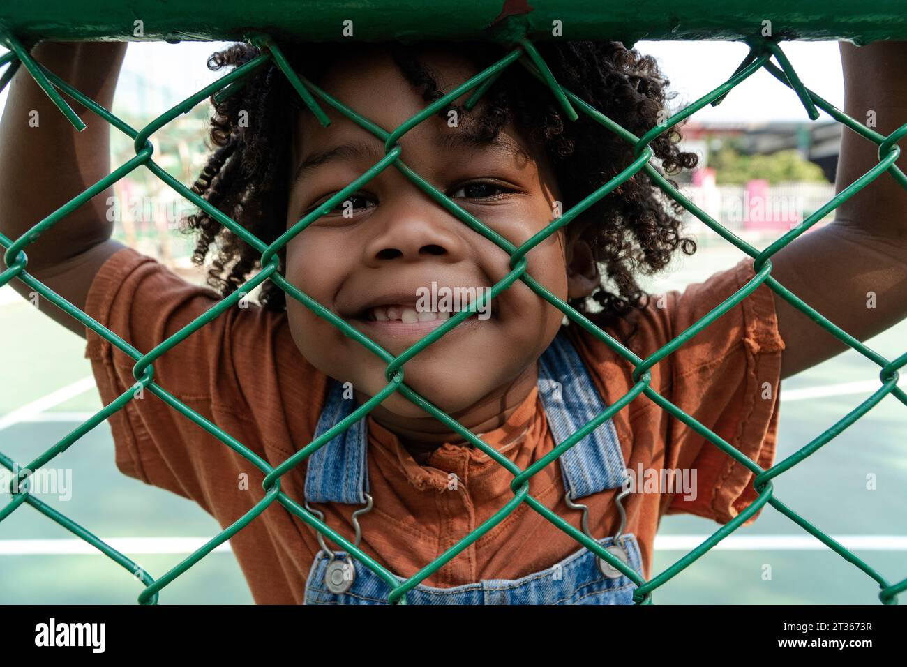 View through fence pattern hi-res stock photography and images - Alamy