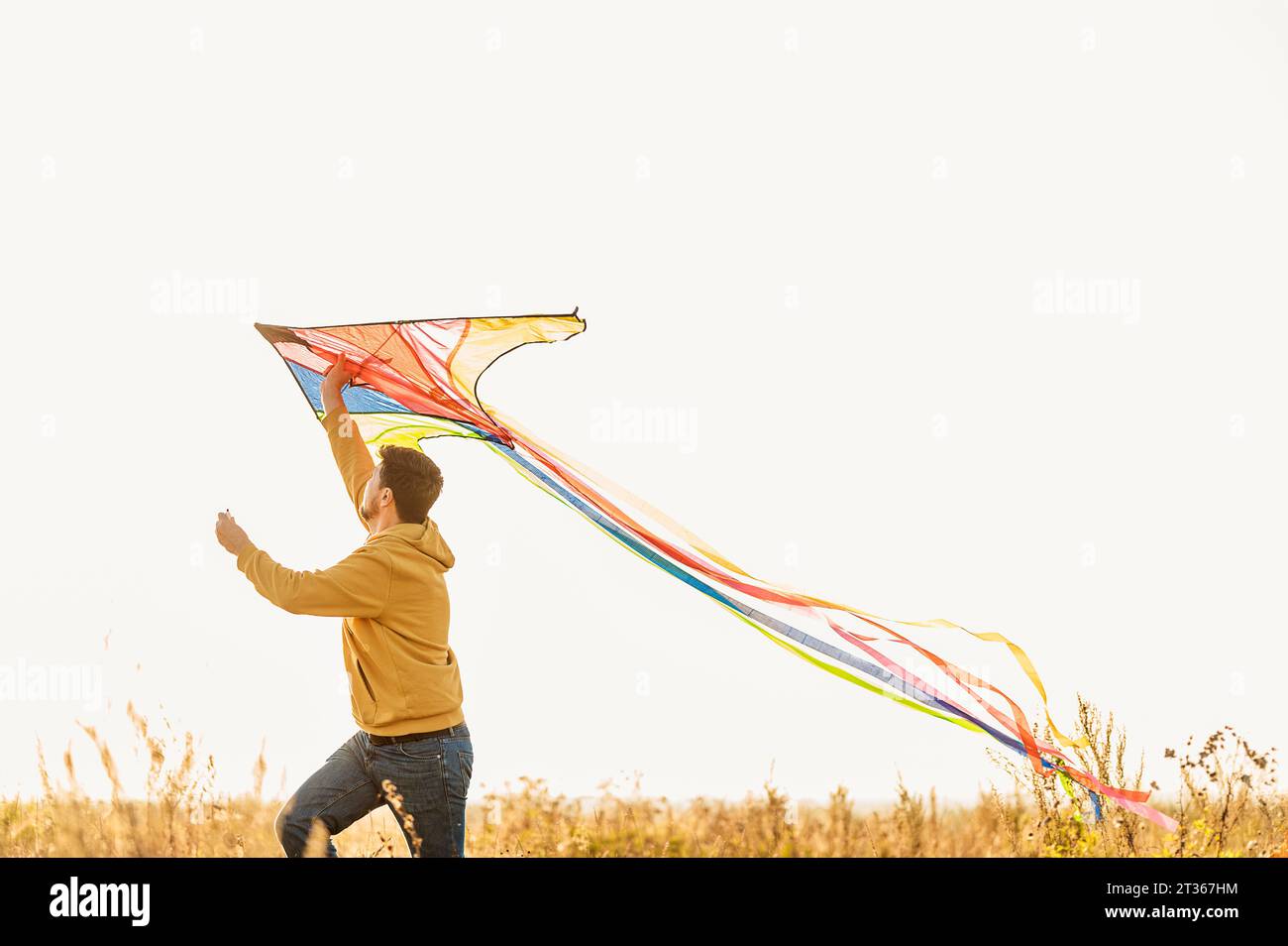 Man flying kite hi-res stock photography and images - Alamy