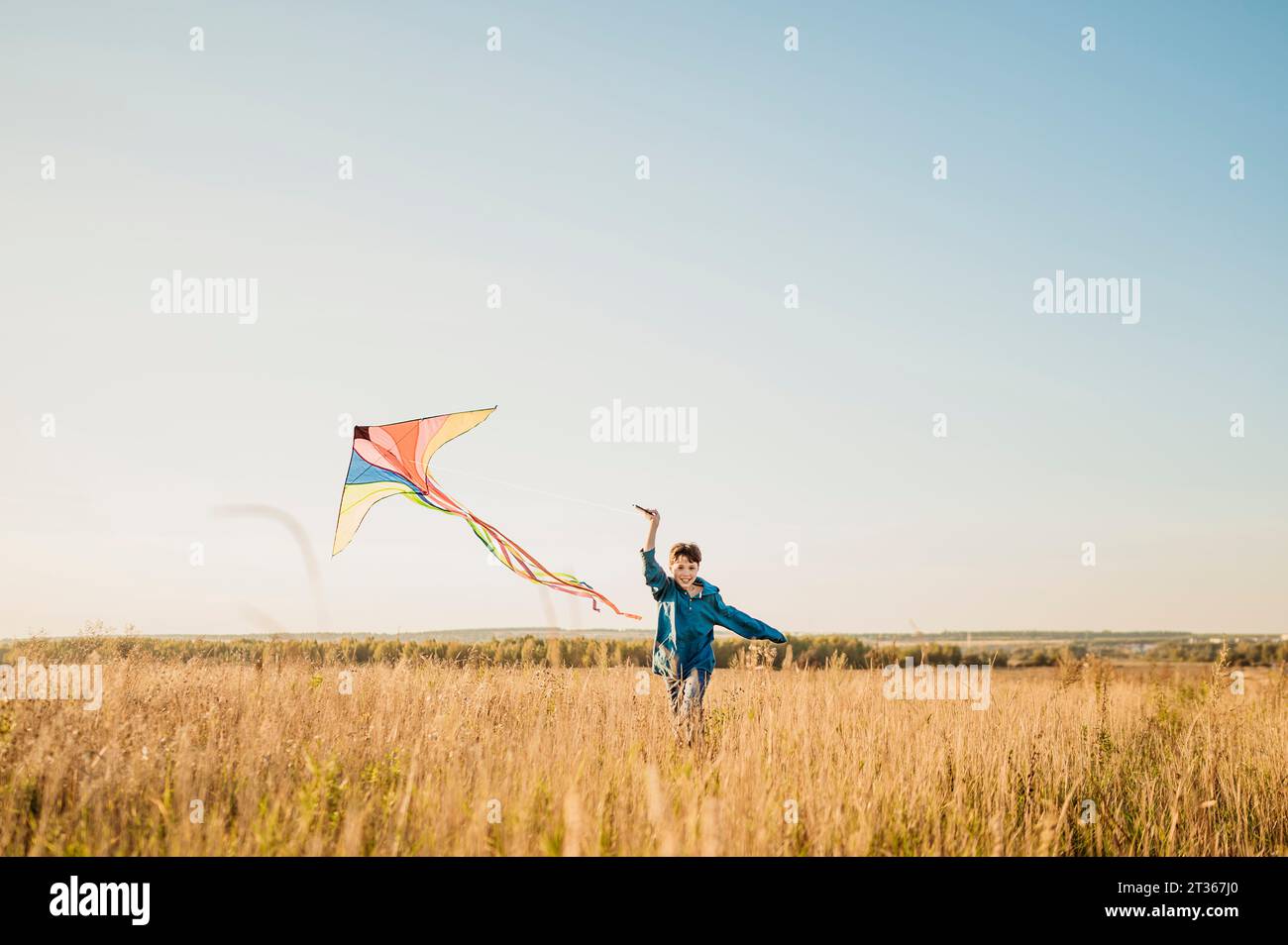 Happy boy running and flying kite in field Stock Photo - Alamy