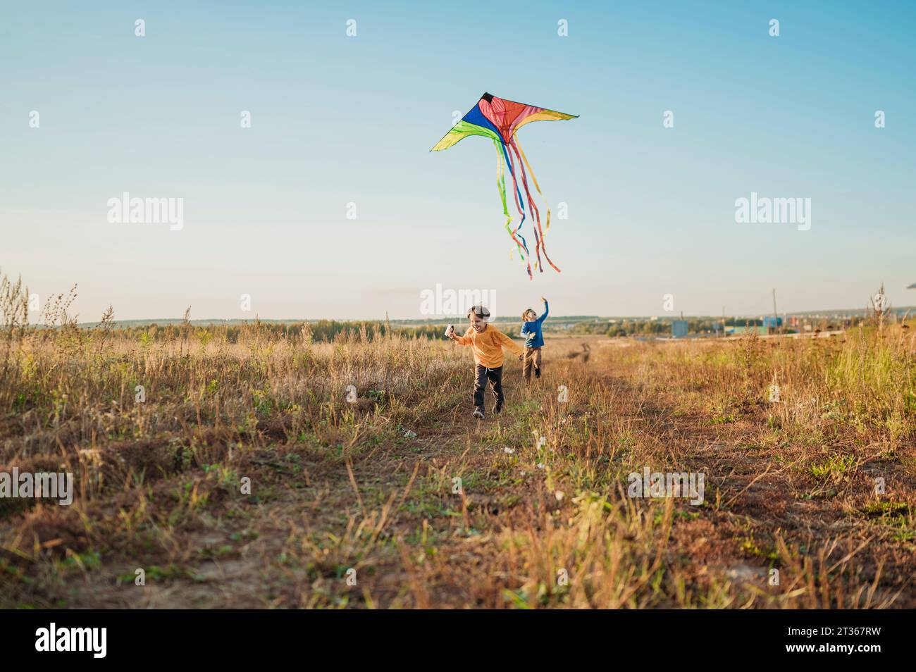 Happy boys running and flying kite in field under sky Stock Photo - Alamy
