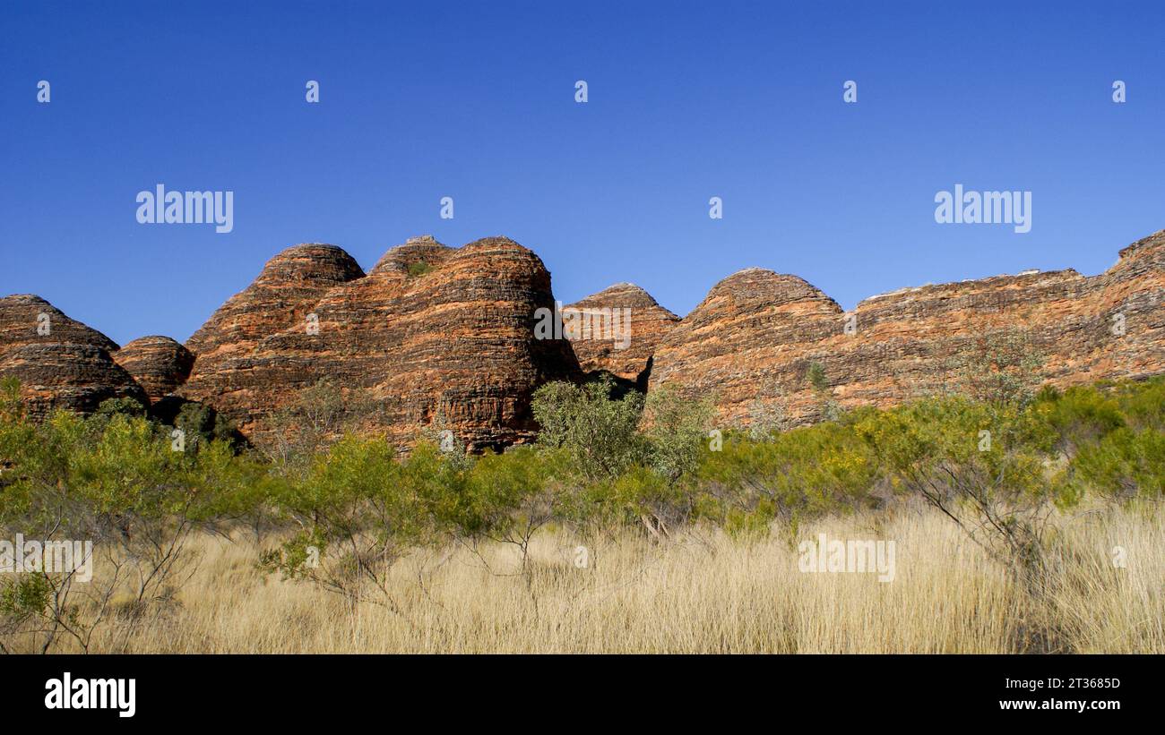 Famous beehive domes of the Bungle Bungle ranges (Purnululu), Western ...