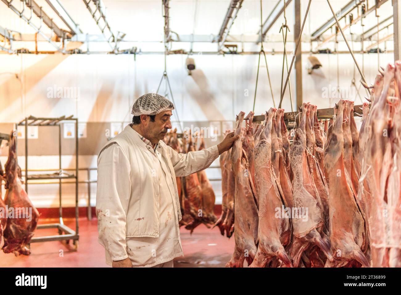 Butcher examining meat hanging in slaughterhouse Stock Photo - Alamy