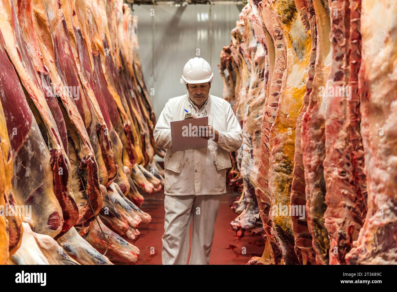 Meat inventory hi-res stock photography and images - Alamy