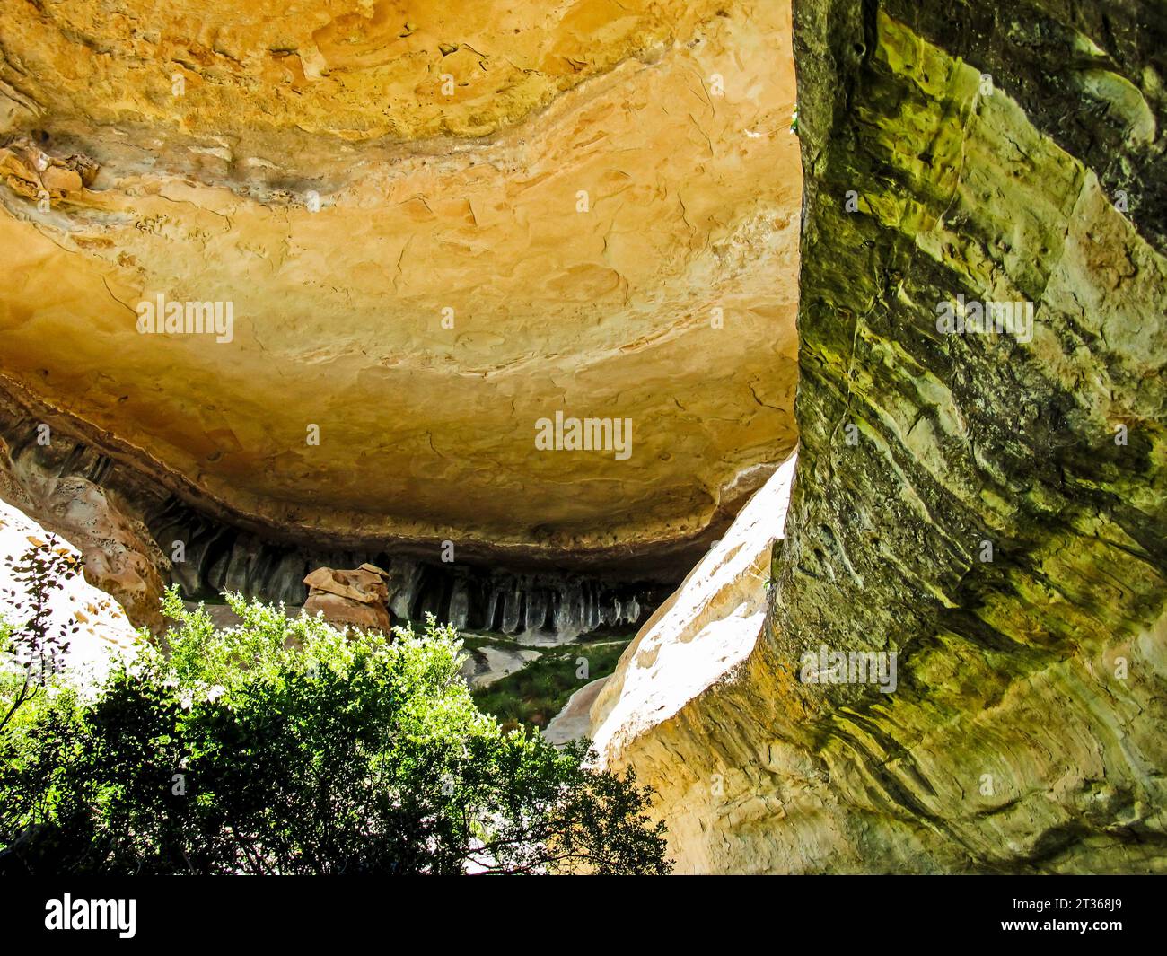 Within a sandstone Cave, looking up at the roof of one of the many ...