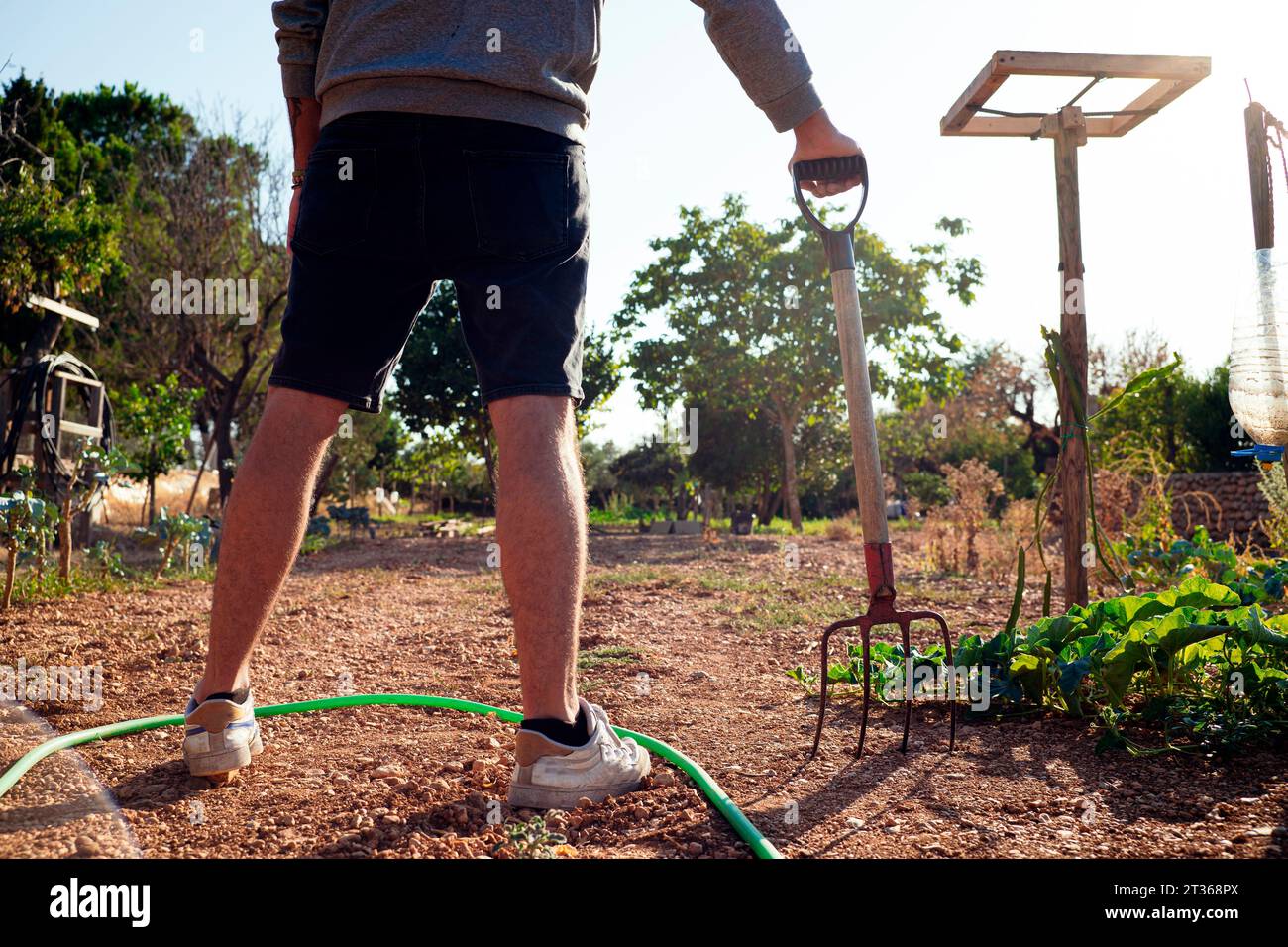Horticulturist with garden fork at farm Stock Photo - Alamy