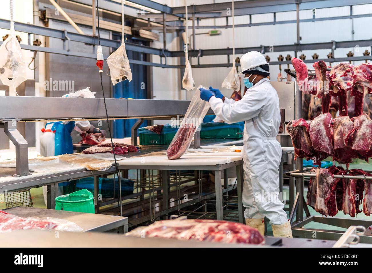 Raw beef mask hi-res stock photography and images - Alamy