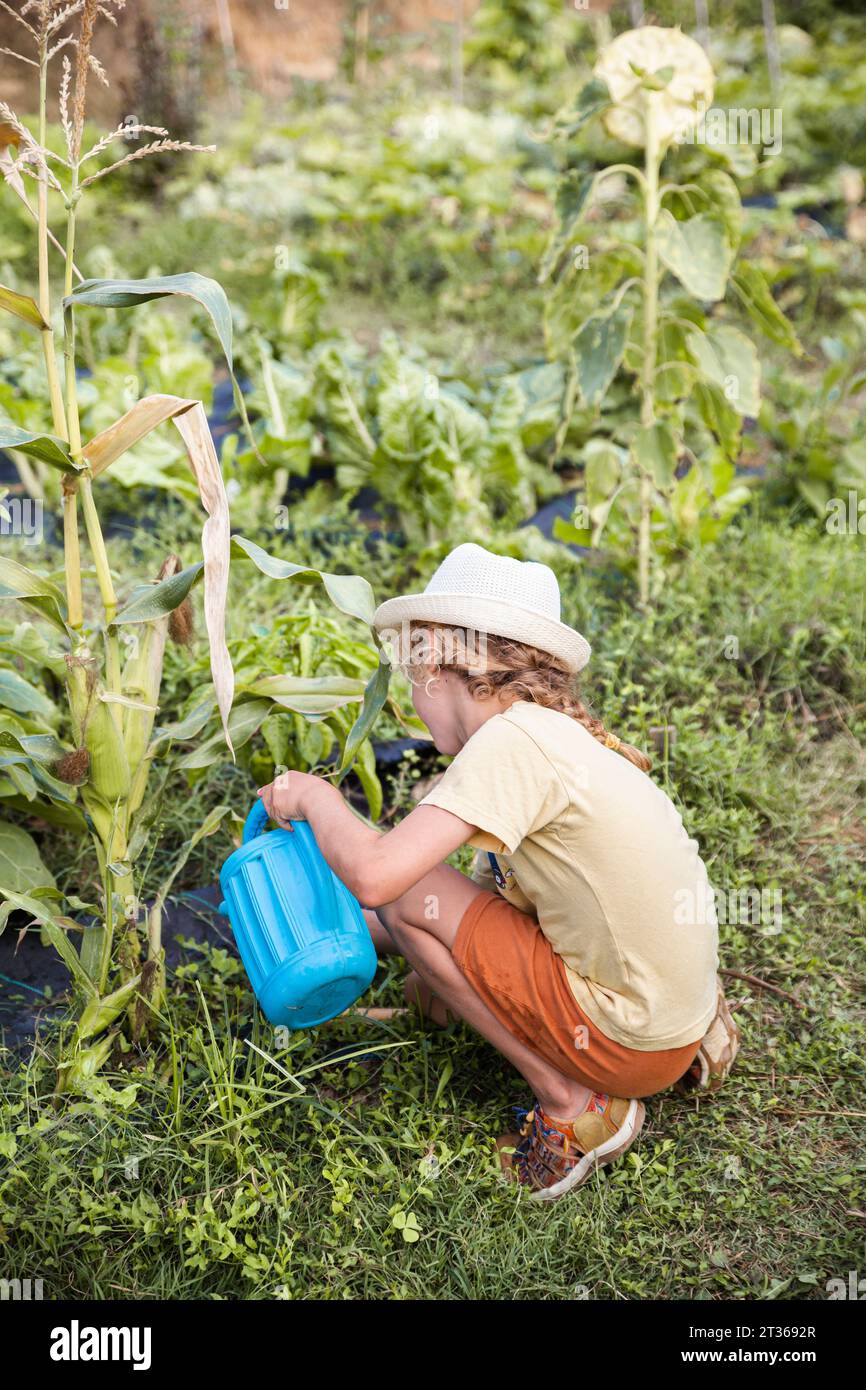 Boy crouching and watering plants in vegetable garden Stock Photo - Alamy