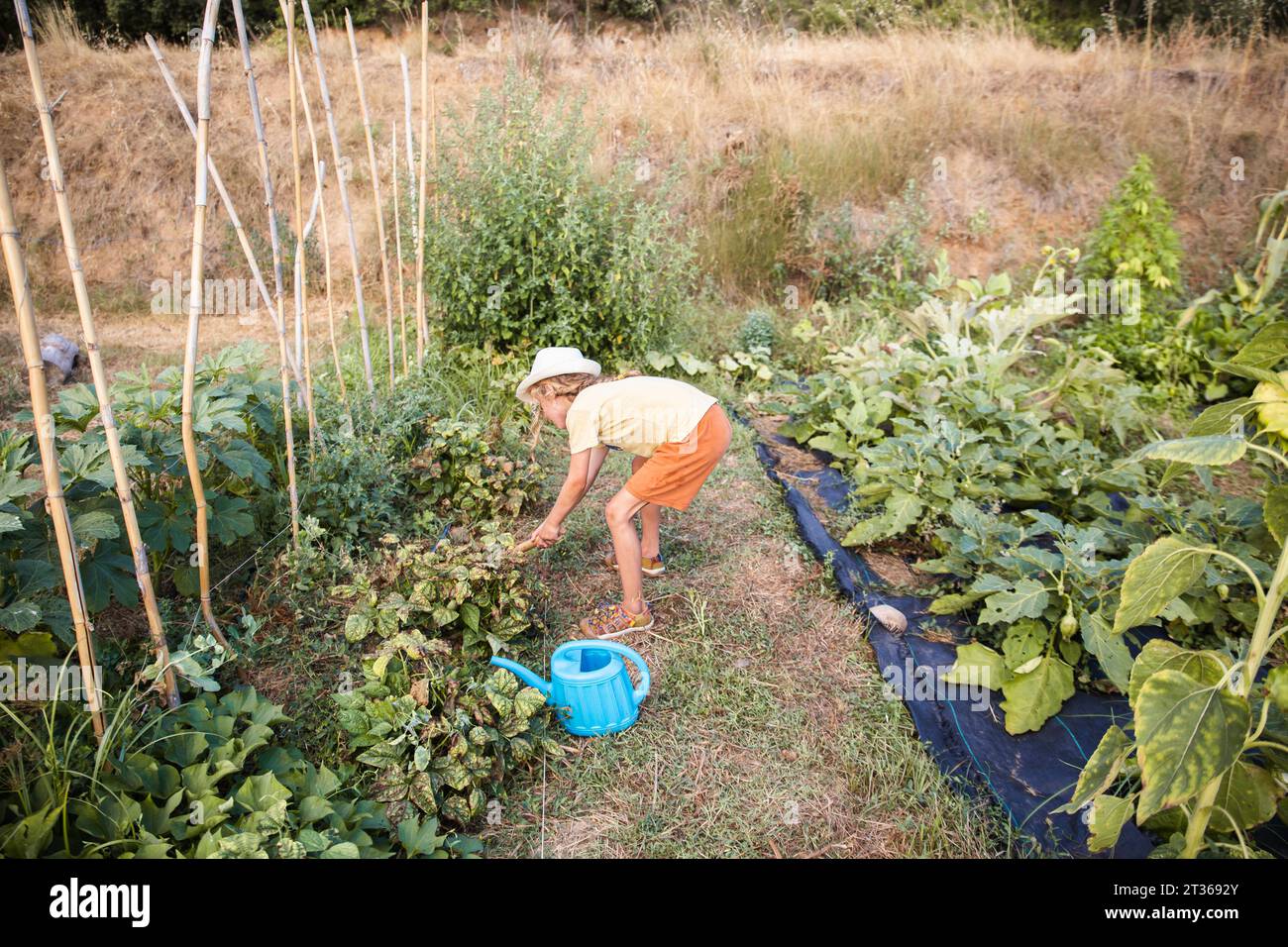 Boy bending and planting in vegetable garden Stock Photo - Alamy