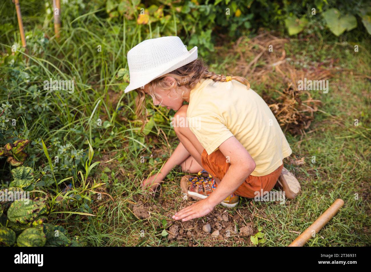 Boy crouching and planting in vegetable garden Stock Photo - Alamy