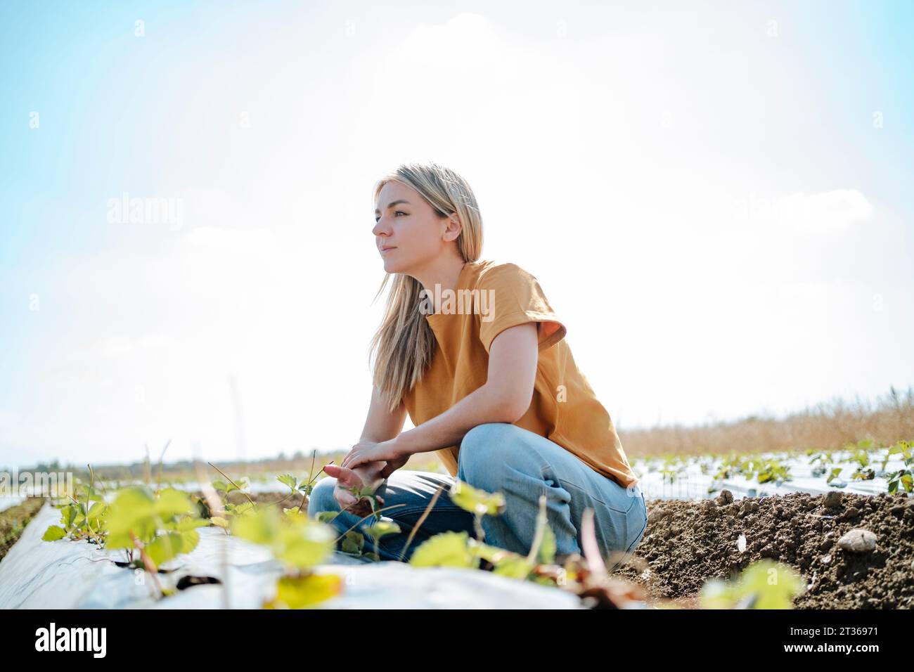 Woman on farm crouching hi-res stock photography and images - Alamy