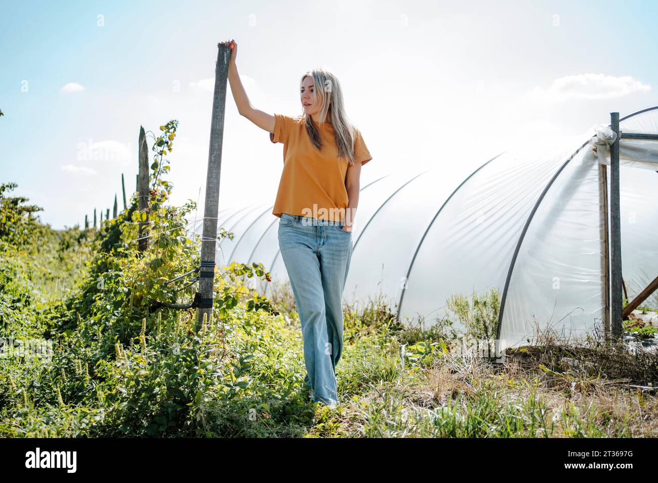 Blond woman standing near green house in raspberry field Stock Photo ...