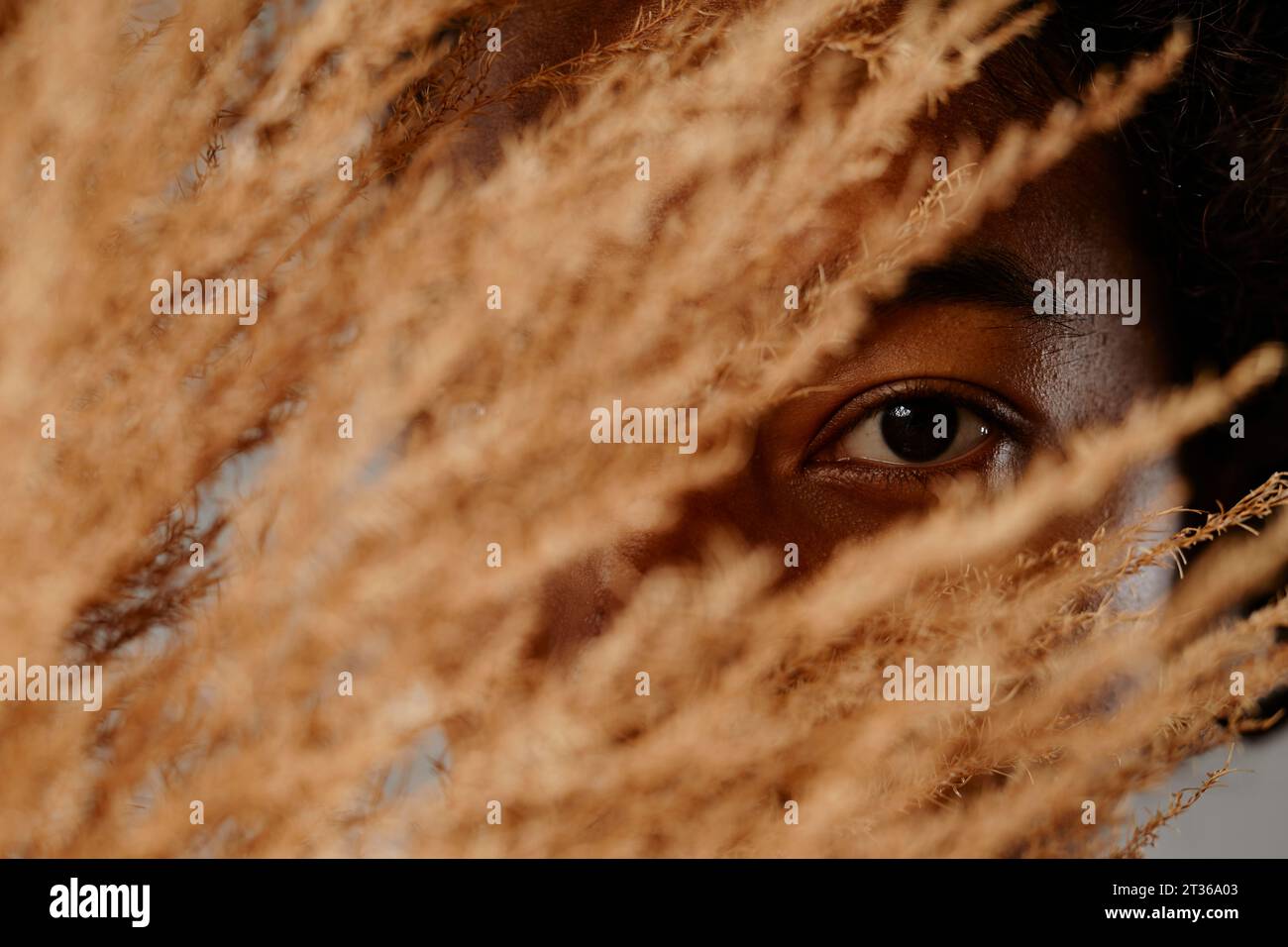 Woman staring from behind of wheat crop Stock Photo - Alamy