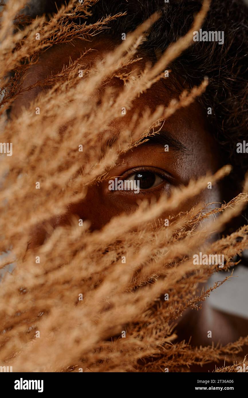 Young woman staring from behind of wheat crop Stock Photo - Alamy