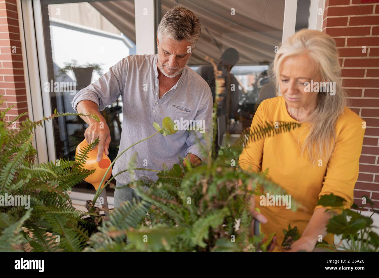 Plants at house hi-res stock photography and images - Alamy