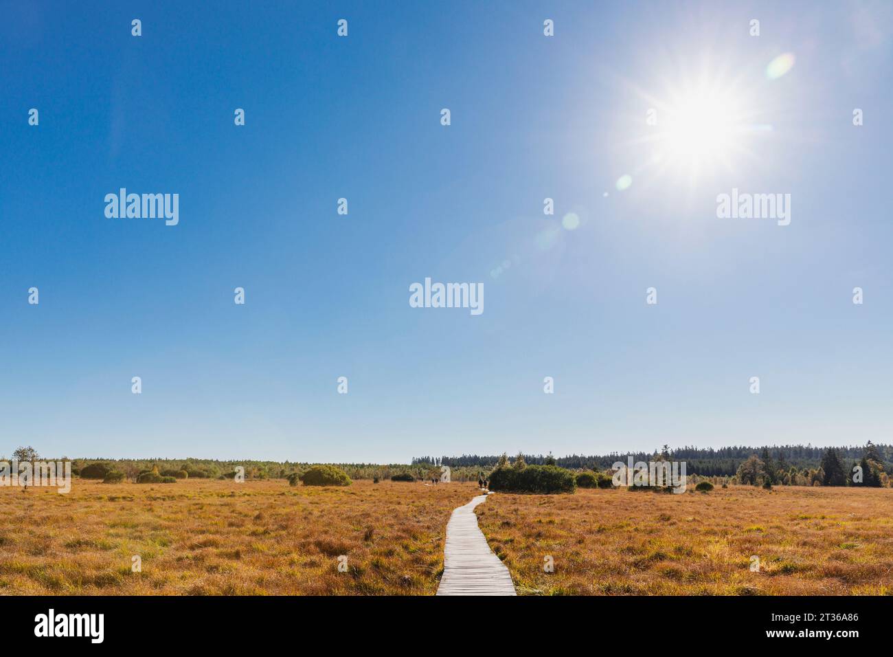Sun shining across grass hi-res stock photography and images - Alamy