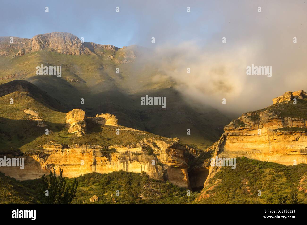 Fog shrouding the top of majestic gold coloured cliffs of Golden Gate ...