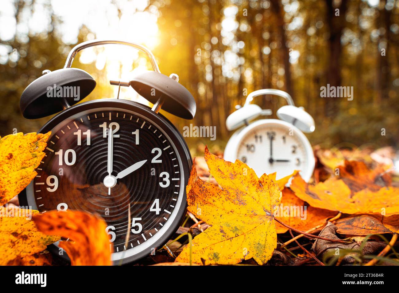 Gersthofen, Bavaria, Germany. 23rd Oct, 2023. Black and white alarm ...