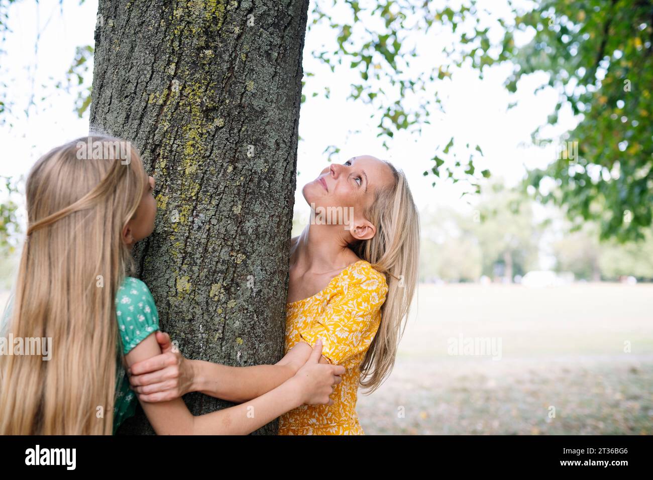 Mother and daughter hugging tree trunk in park Stock Photo - Alamy