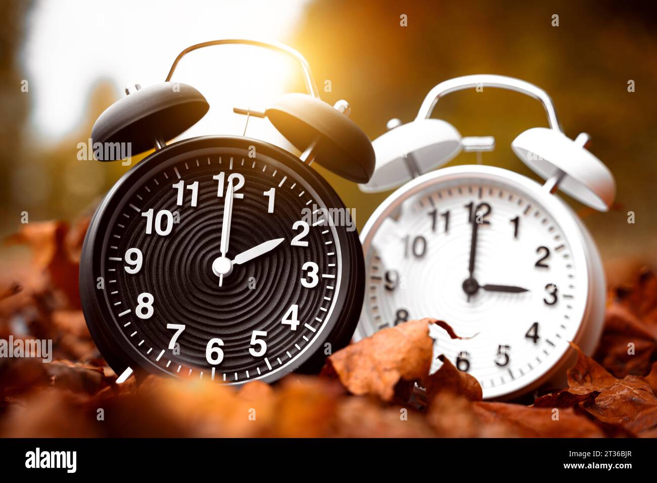 Gersthofen, Bavaria, Germany. 23rd Oct, 2023. Black and white alarm ...