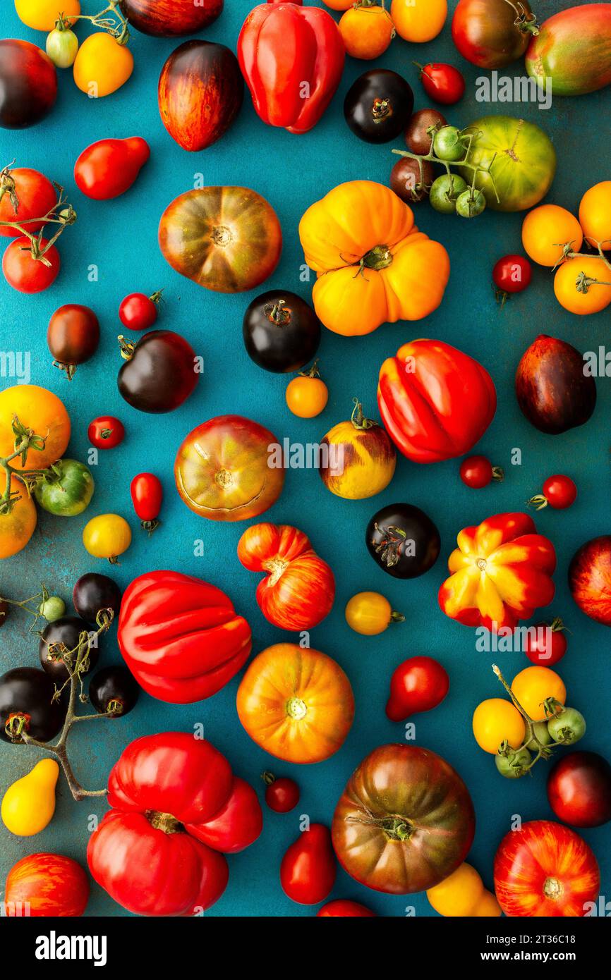 Multi-colored bright ripe tomatoes on an emerald green background ...
