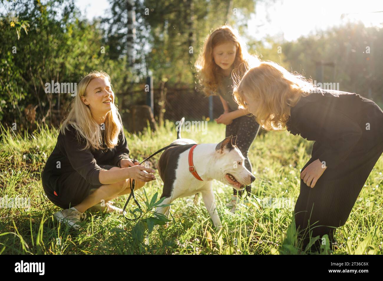 Siblings playing dog in park hi-res stock photography and images - Alamy