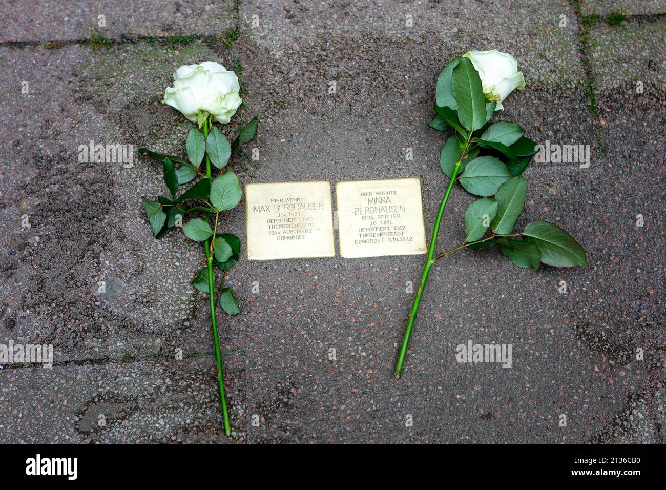 Wiesbaden, Germany - October 17, 2023: A bricklayer lays Stolpersteine ...
