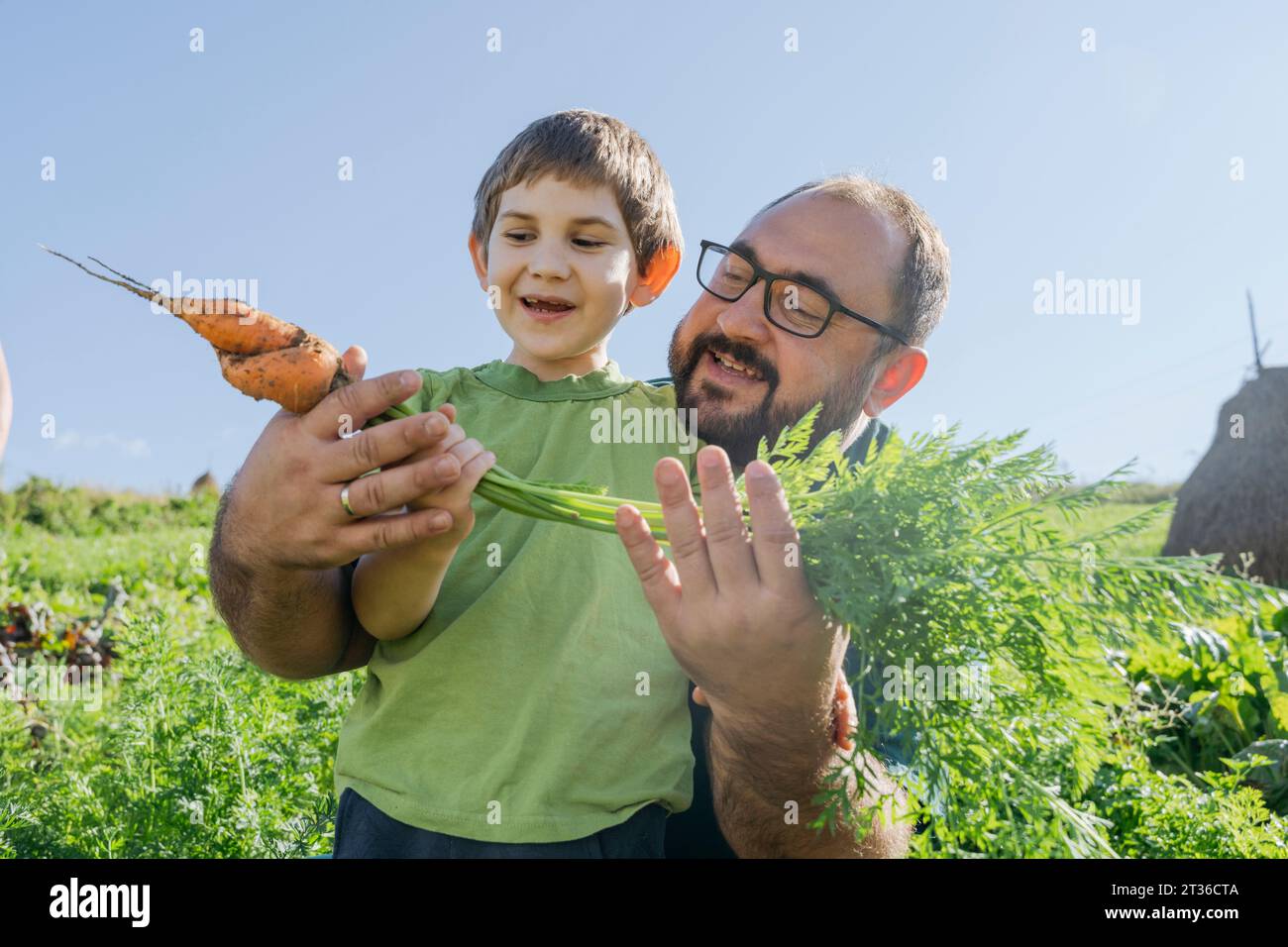 Father and son holding carrot in organic field Stock Photo - Alamy