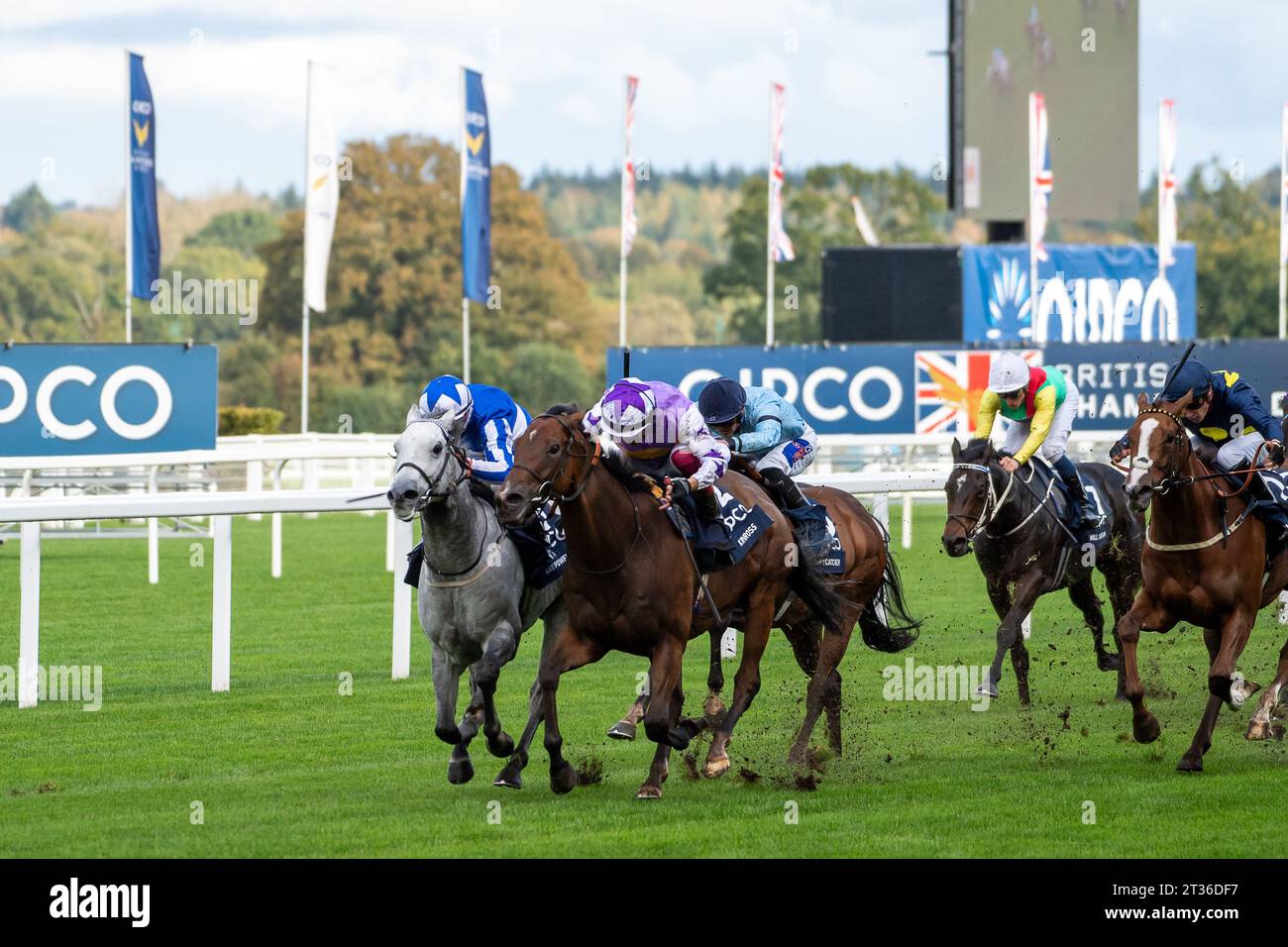 Ascot, Berkshire, UK. 21st October, 2023. Grey horse Art Power (L ...