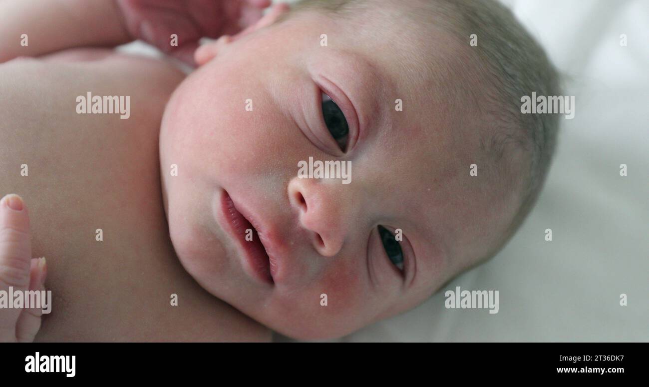 Newborn baby boy at hospital first day of life Stock Photo - Alamy
