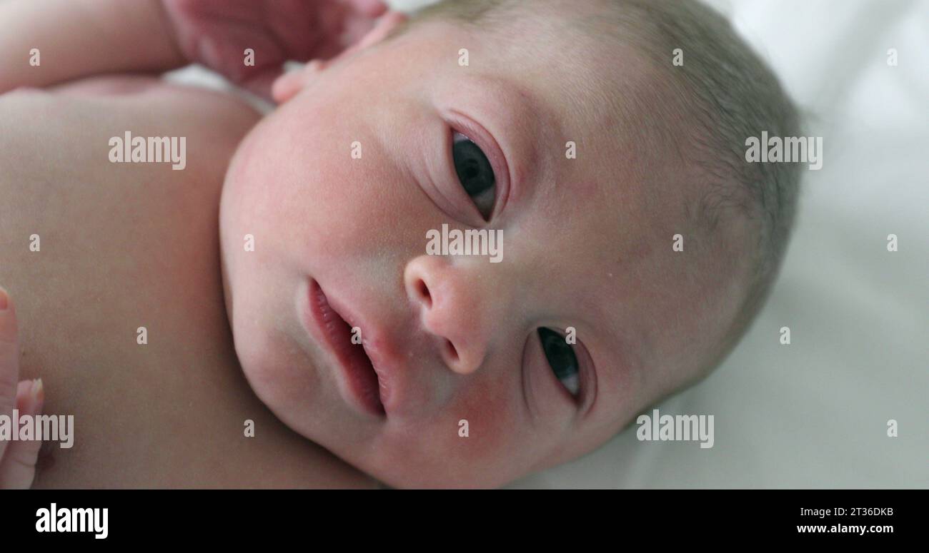Newborn baby boy at hospital first day of life Stock Photo - Alamy