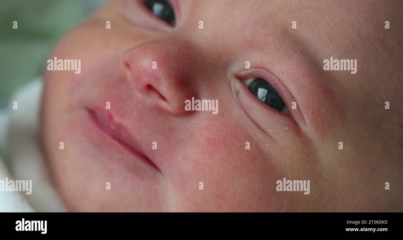 Newborn baby boy looking and observing the world, first day of life ...