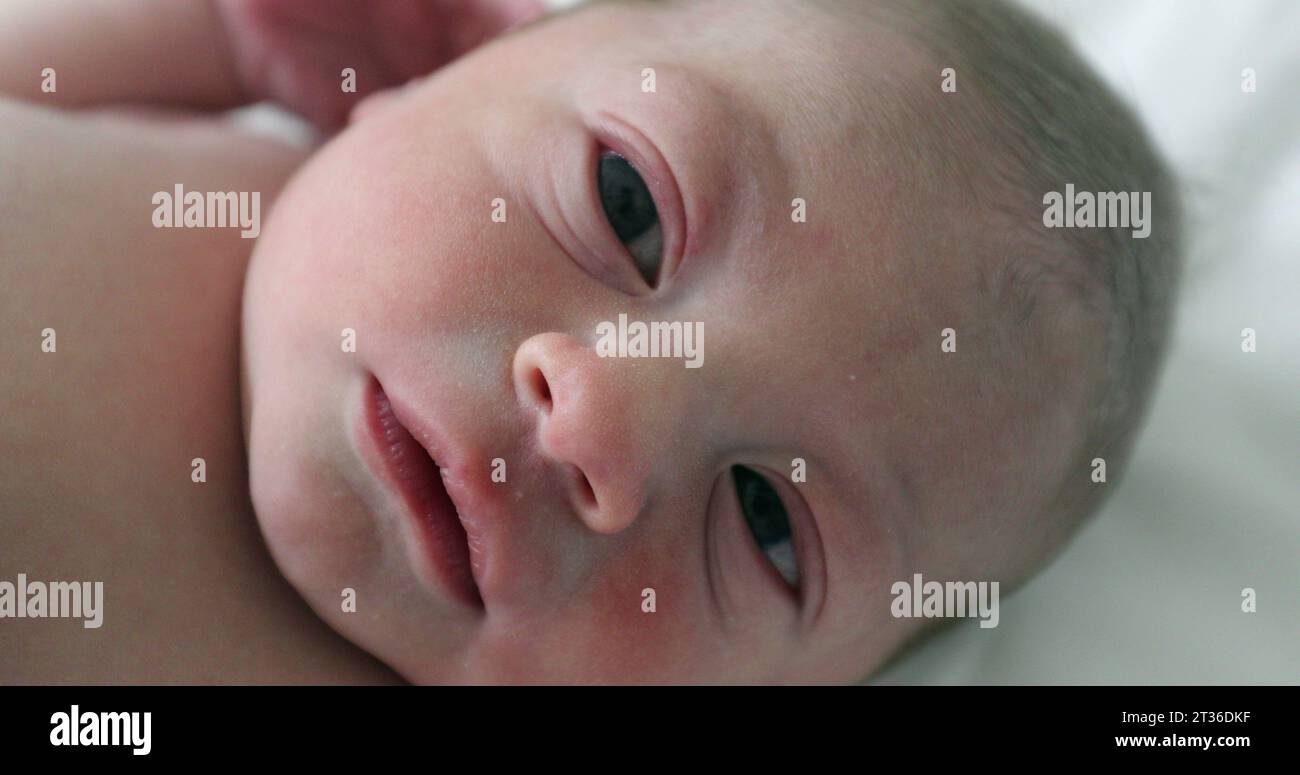 Newborn baby boy at hospital first day of life Stock Photo - Alamy
