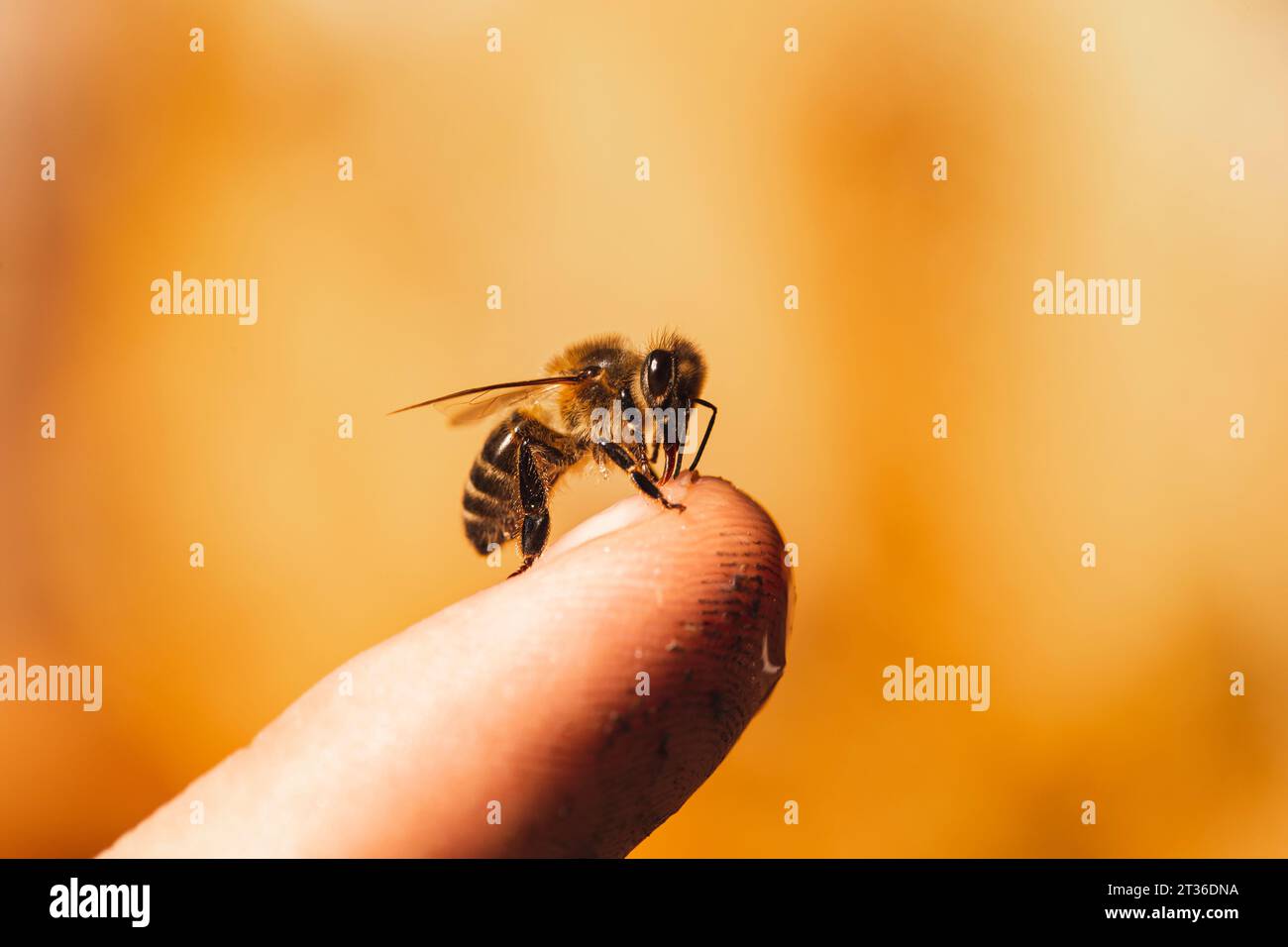 Mans finger hi-res stock photography and images - Alamy