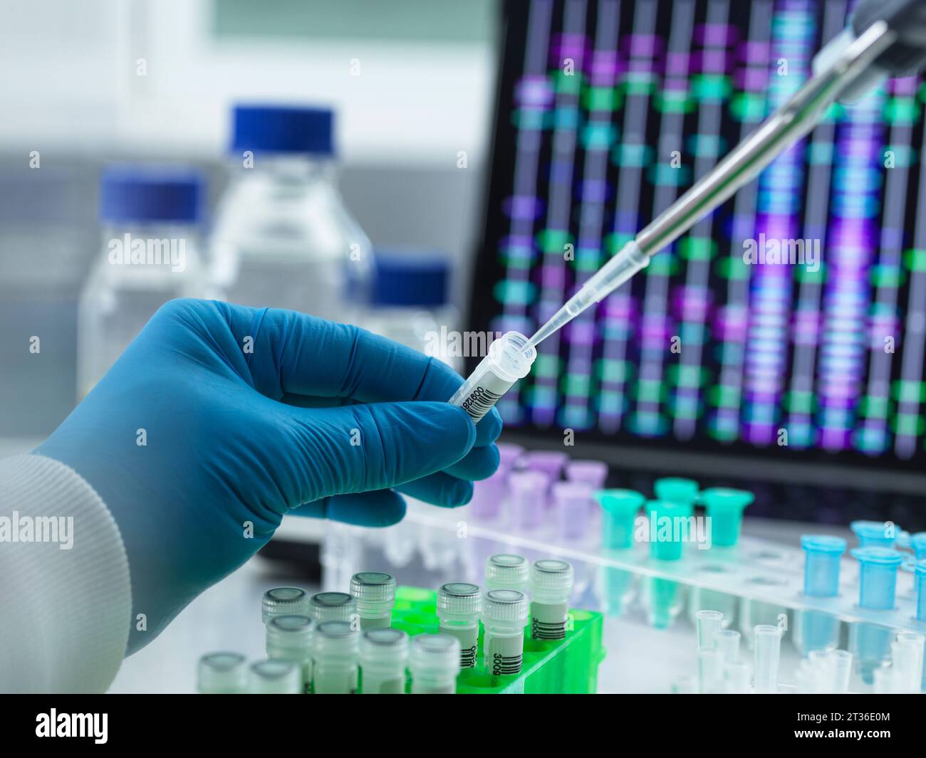 Scientist pipetting DNA sample into vial for testing Stock Photo - Alamy