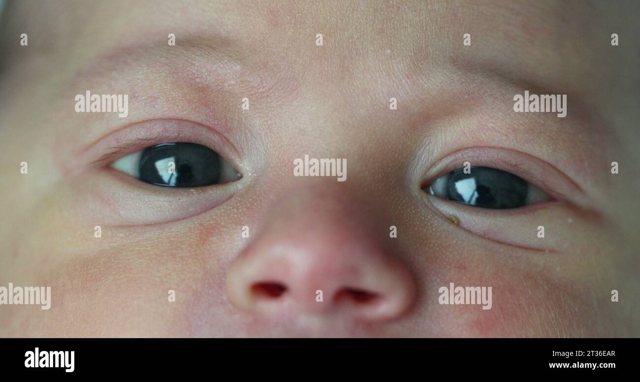 Little newborn baby macro eyes Stock Photo - Alamy