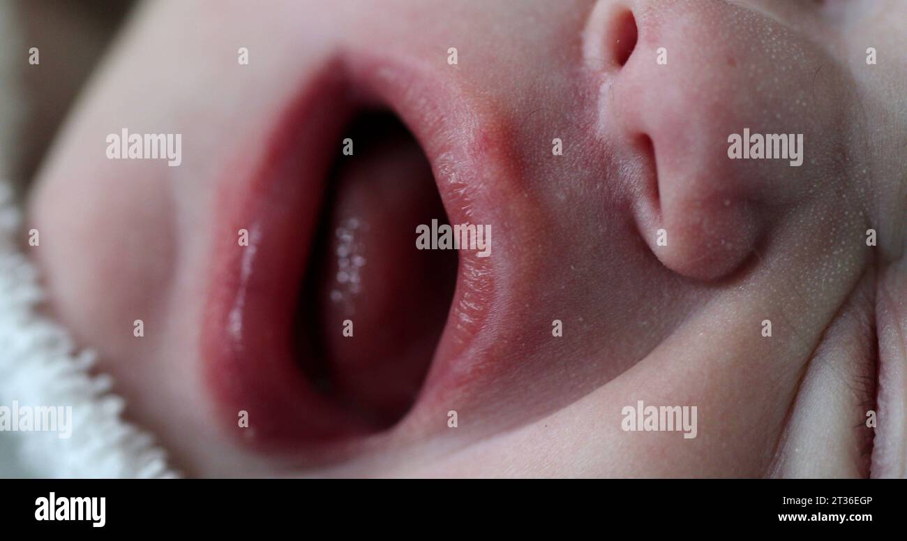 Macro close-up of newborn baby face Stock Photo - Alamy