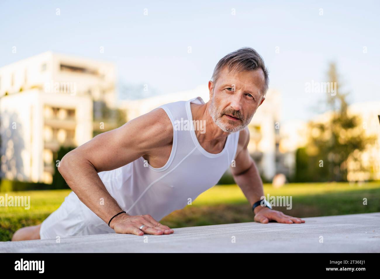 Active sportsman practicing push-ups in park Stock Photo - Alamy