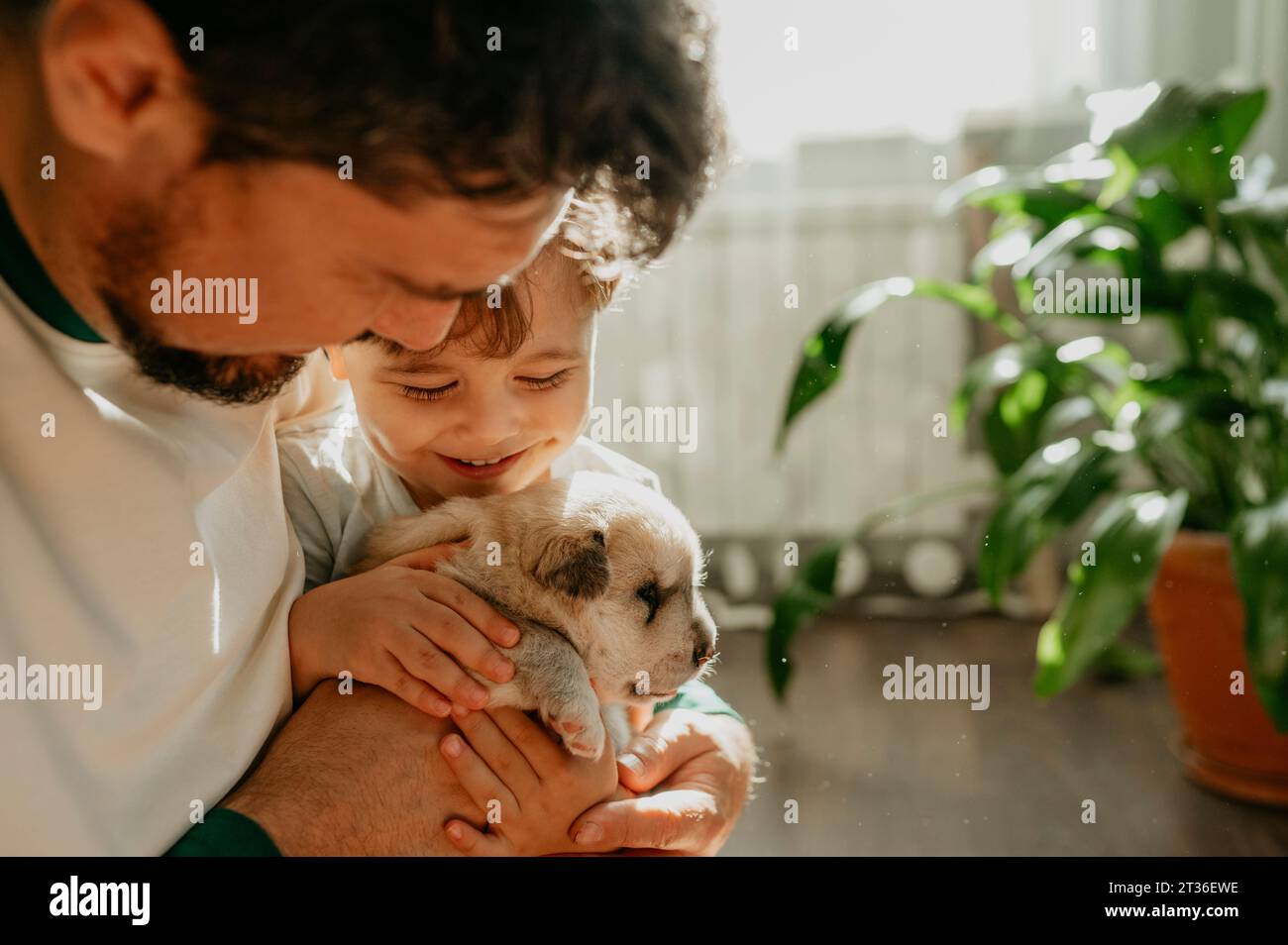 Father dog holding son hi-res stock photography and images - Alamy