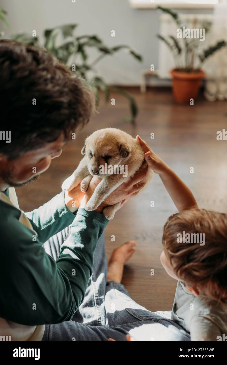 Father and son playing with cute puppy at home Stock Photo - Alamy