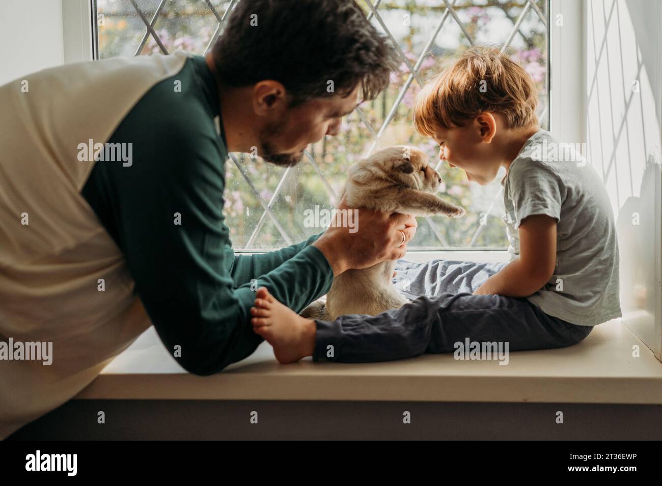 Father giving cute mixed breed to son sitting in window at home Stock ...
