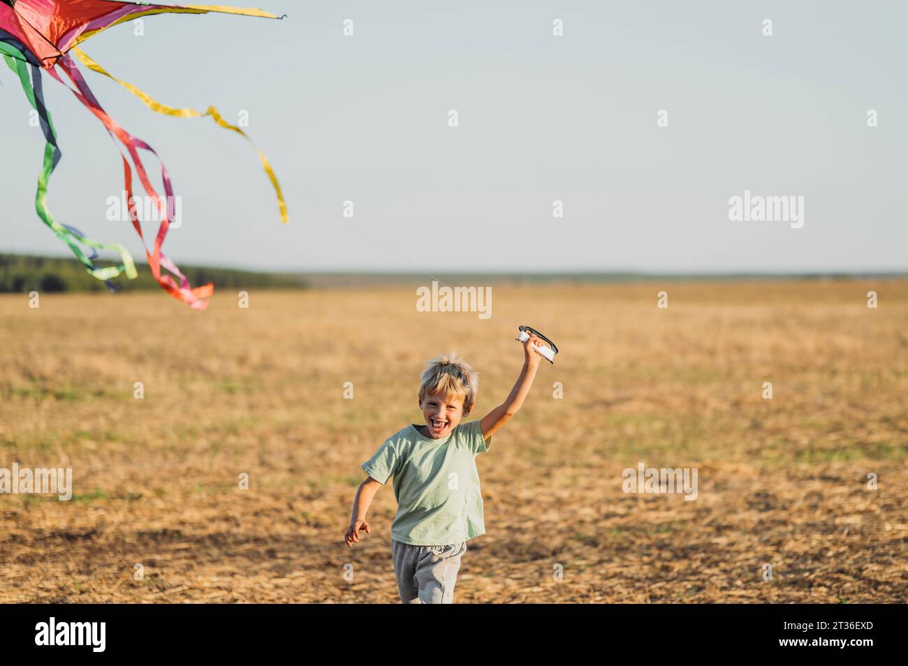 Happy boy flying kite and running in meadow Stock Photo - Alamy