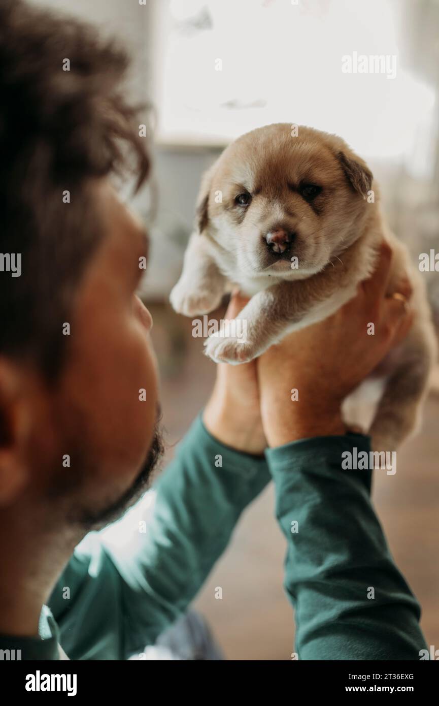 Hand holding puppy hi-res stock photography and images - Alamy
