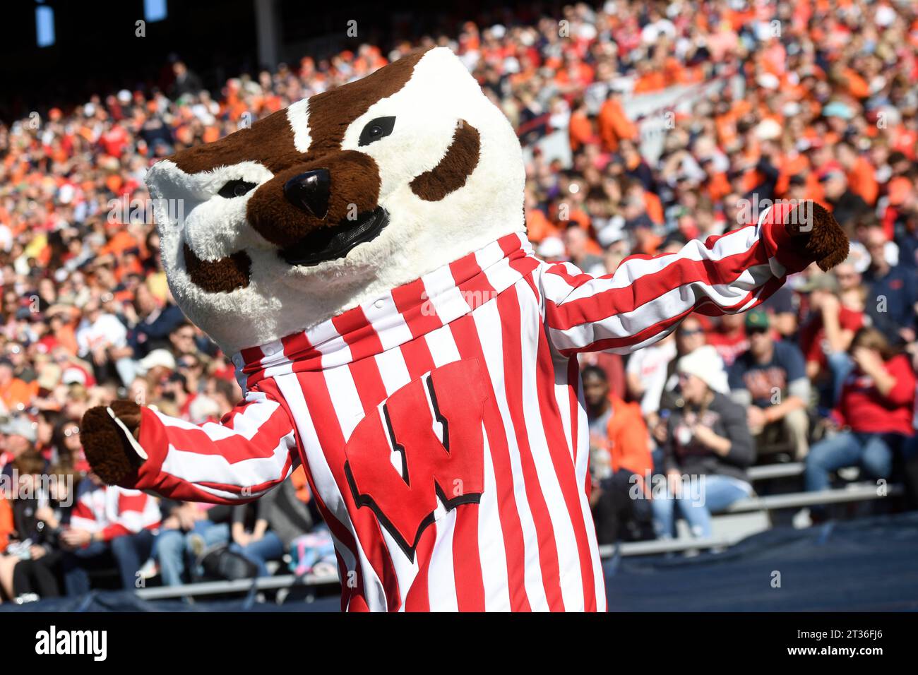 CHAMPAIGN, IL - OCTOBER 21: Wisconsin Badgers mascot Bucky Badger ...
